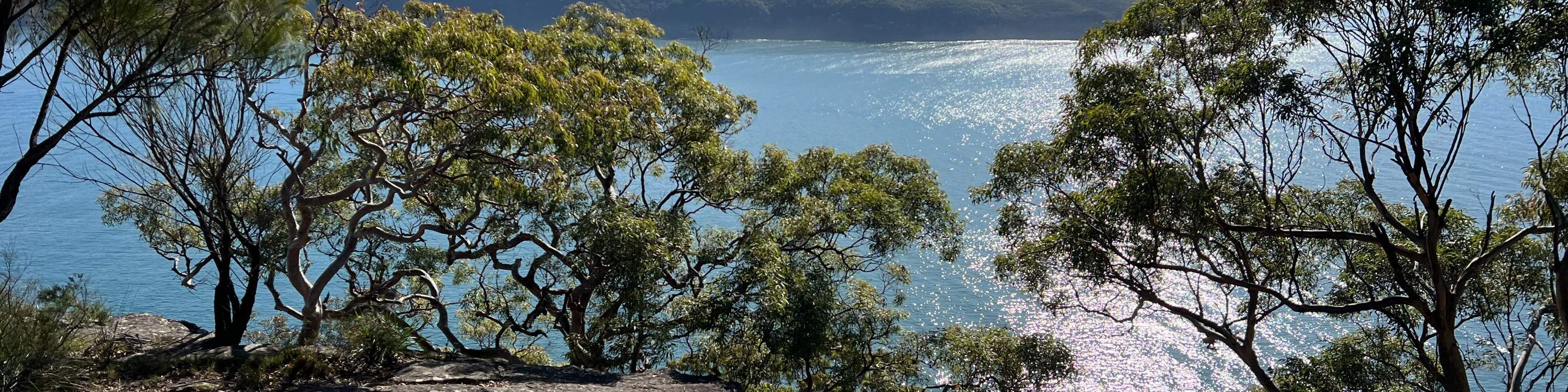 Sydney's Northern Beaches and Ku-ring-gai National Park Bus Tour ...