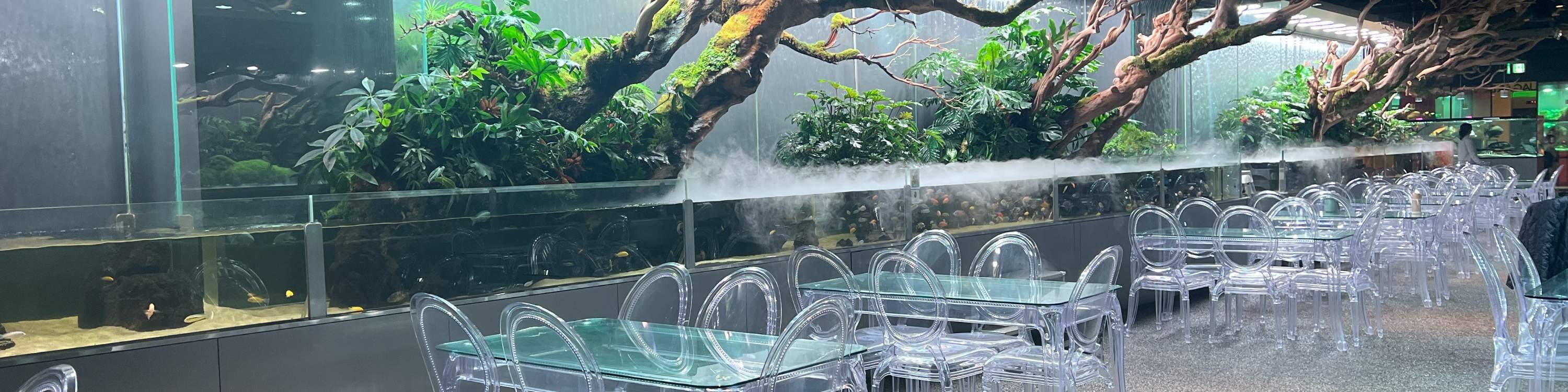 Begonia Bird Garden+Mysterious Zoo+Aqua Cafe Round-trip shuttle - Klook ...