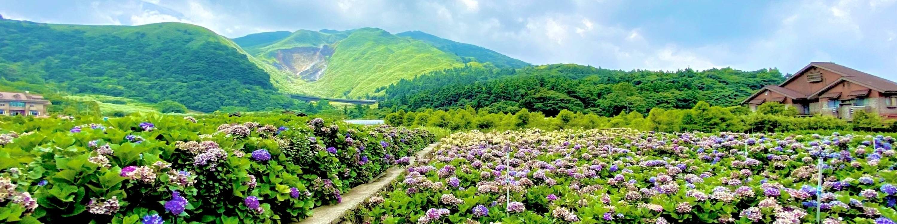阳明山and北投一日游（西门町出发） Klook客路