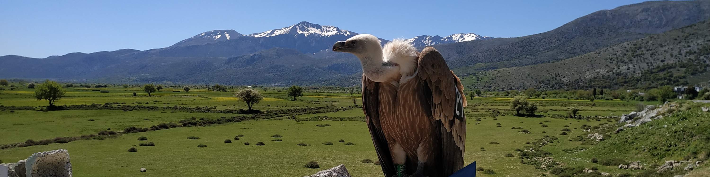 Full-Day 4X4 Tour in Crete-Zeus Cave visit & Cretan villages - Klook ...