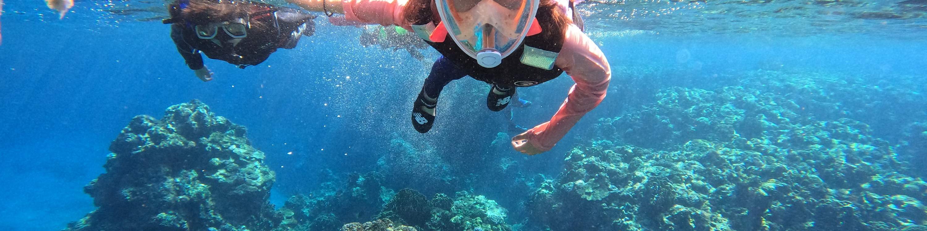 蘭嶼シュノーケリング体験（GoPro写真撮影含む） | Klook