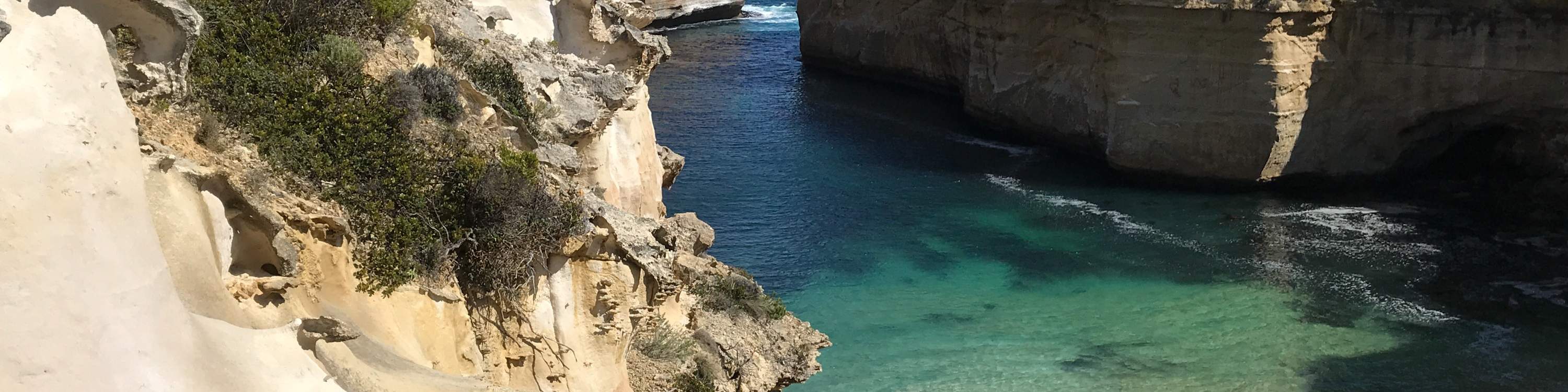Great Ocean Road Guided ECO Tour with Lunch from Melbourne CBD - Klook