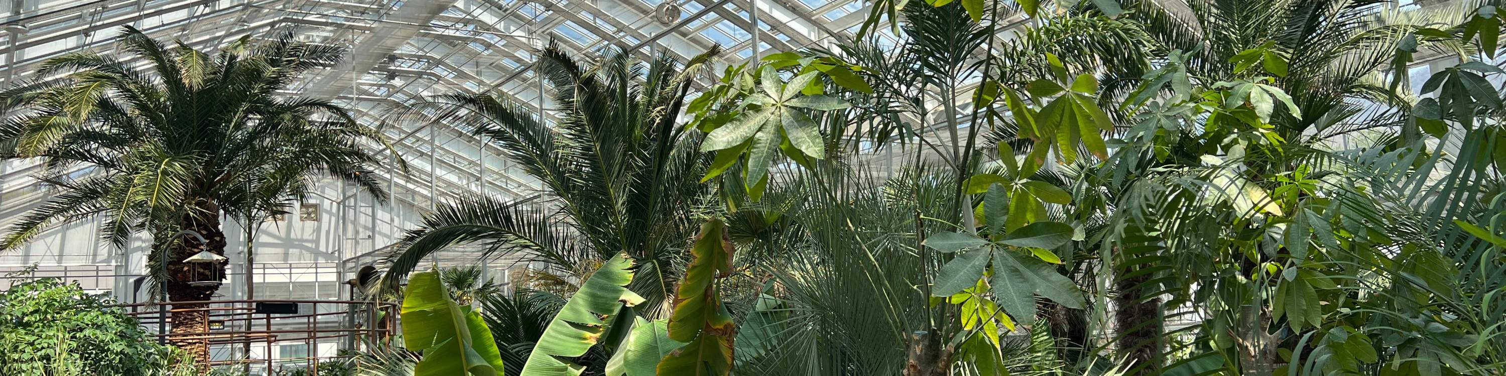 Begonia Bird Garden+Mysterious Zoo+Aqua Cafe Round-trip shuttle - Klook ...