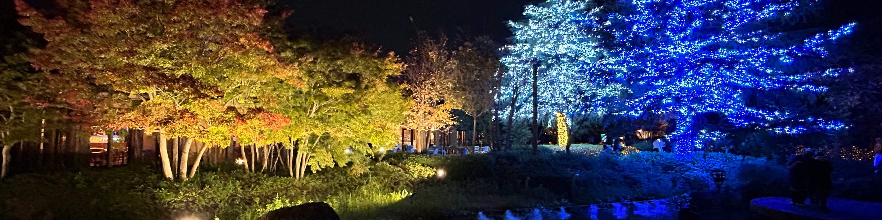 나가시마 아울렛 And 나바나노사토 겨울 일루미네이션 버스 투어 클룩 Klook 한국