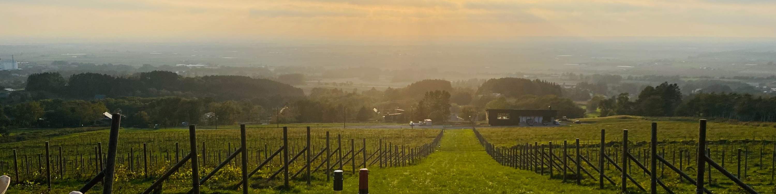 Private terrace with a spectacular view: Maoi Vineyard Hill (Hokkaido ...