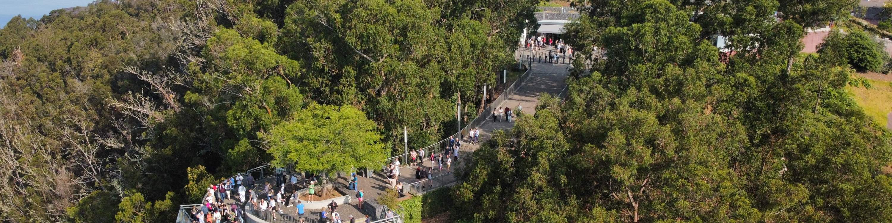 Discover the Beauty of Madeira on an Amazing Skywalk Tour in the Cliff ...