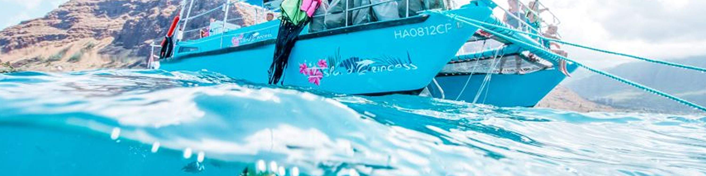 Waikiki Turtle Canyon Snorkeling Tour - Klook