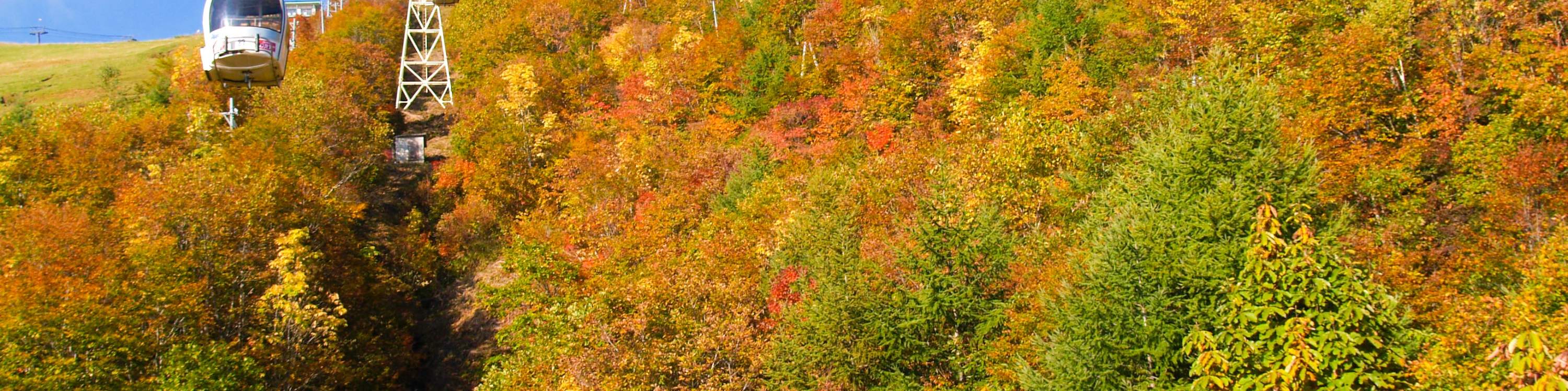 Hakuba Happo-One Happo Alpine Line Round-Trip Ticket in Nagano - Klook