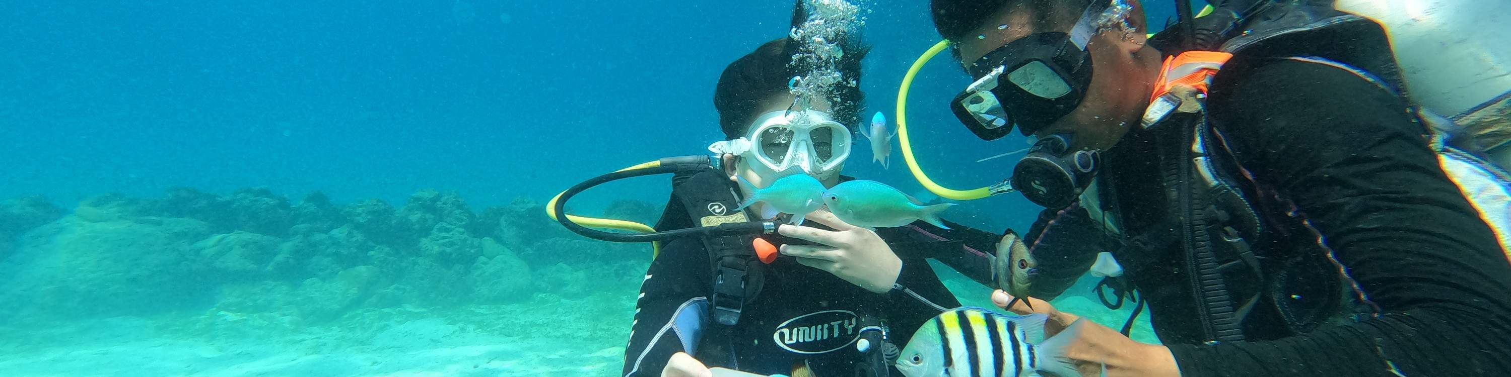 Pengalaman Menyelam SCUBA yang Tak Terlupakan di Cebu - Tidak Perlu ...