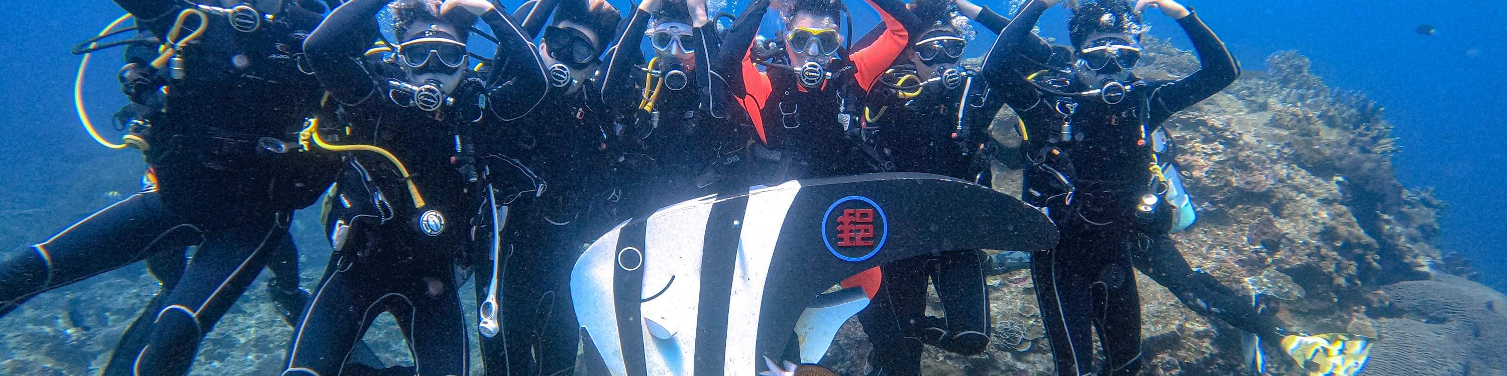Green Island Bay Diving Esperienza di immersione individuale・Itinerario ...