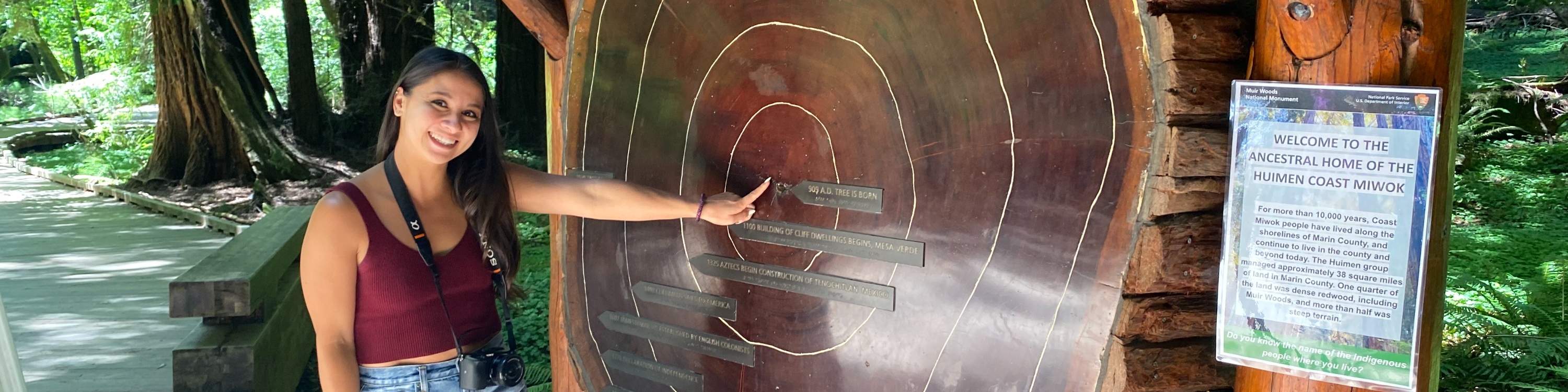 Private Muir Giant Redwoods Trees and Sausalito Guided Tour - Klook