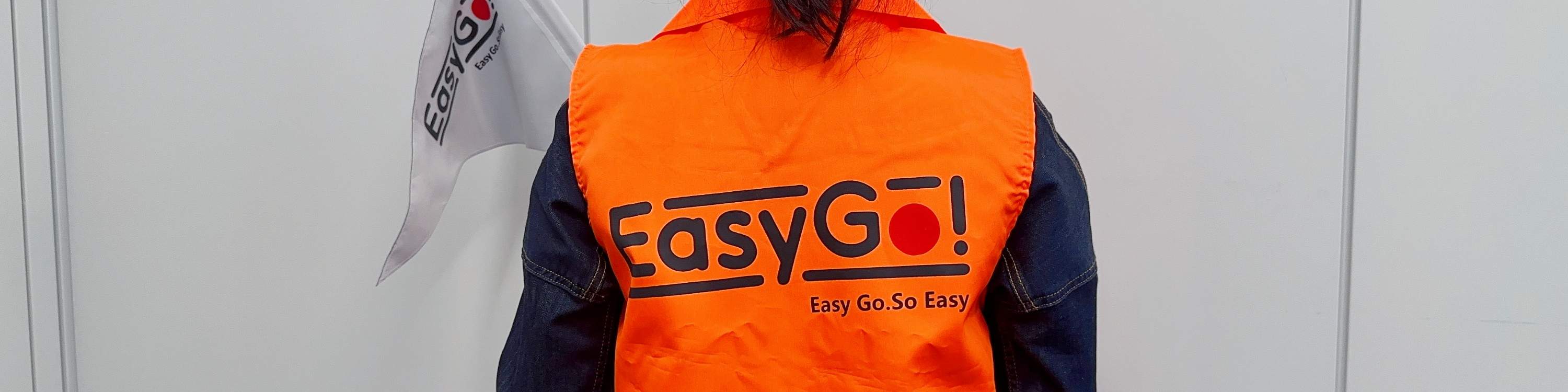 Mikata Five Lakes Sky Terrace + Lake Cruise Day Tour (Lift ticket and ...