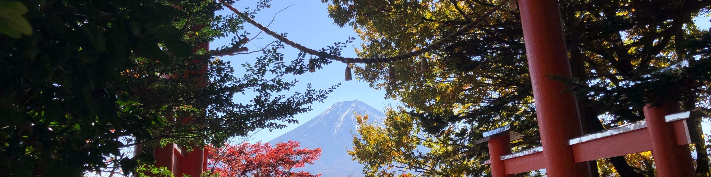 Tour in autobus di un giorno del Monte Fuji, del Parco Oishi e del ...