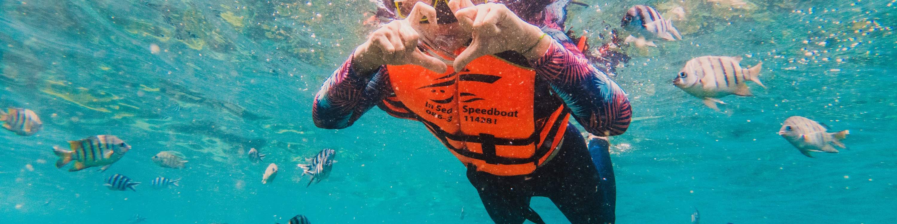 Sertai Lawatan Snorkel ke Taman Marin Angthong dengan Insea Speedboat ...