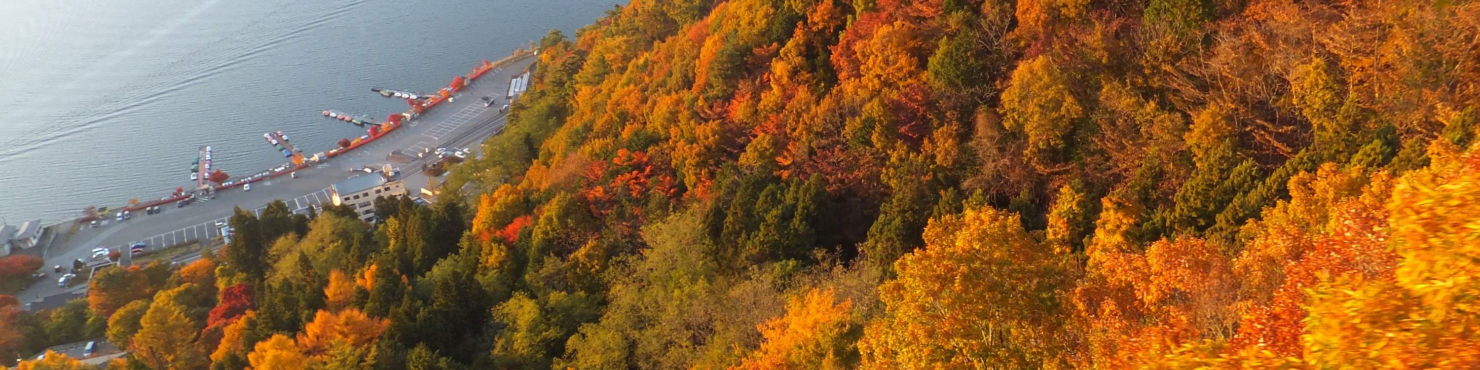 Mt. Fuji Panoramic Ropeway Round-trip Ticket in Yamanashi - Klook