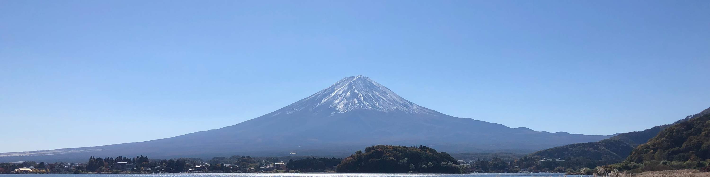 Tour in autobus di un giorno del Monte Fuji, del Parco Oishi e del ...