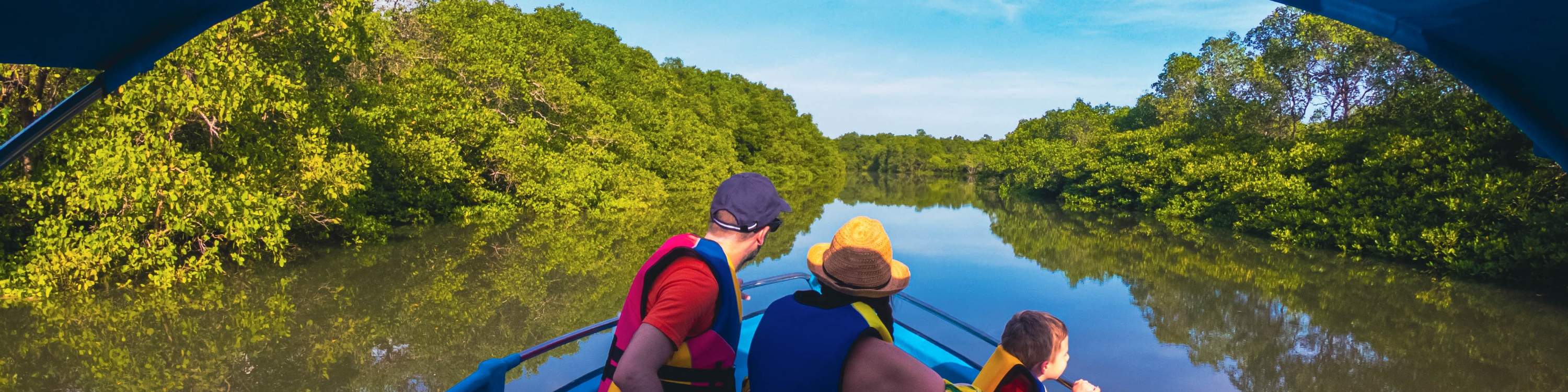 タートルアイランド・グラスボート・マングローブクルーズ体験（JTBインドネシア提供） | Klook