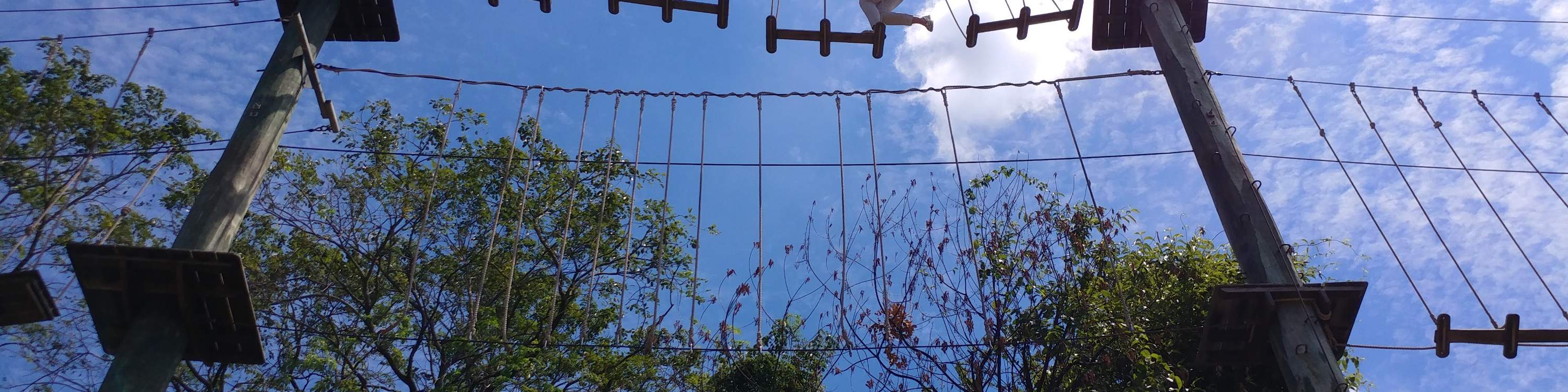 MegaZip al Mega Adventure Park di Singapore - Klook Stati Uniti