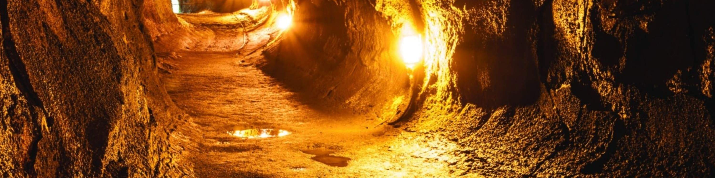 Volcano Adventure Bus Tour from Hilo with Optional Helicopter Tour ...