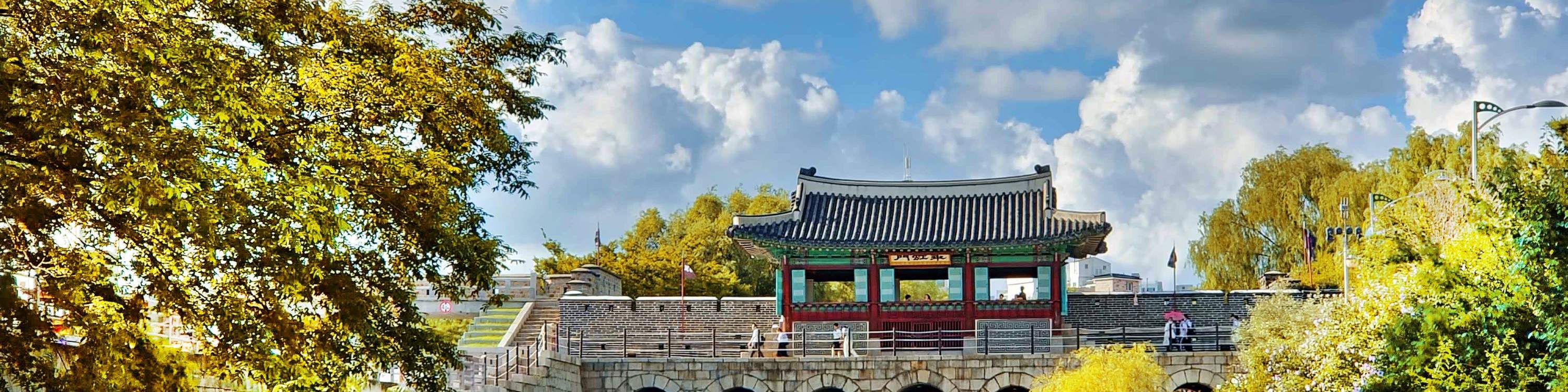 Cherry Blossom Suwon Hwaseong Fortress Tour from Seoul - Klook Australia