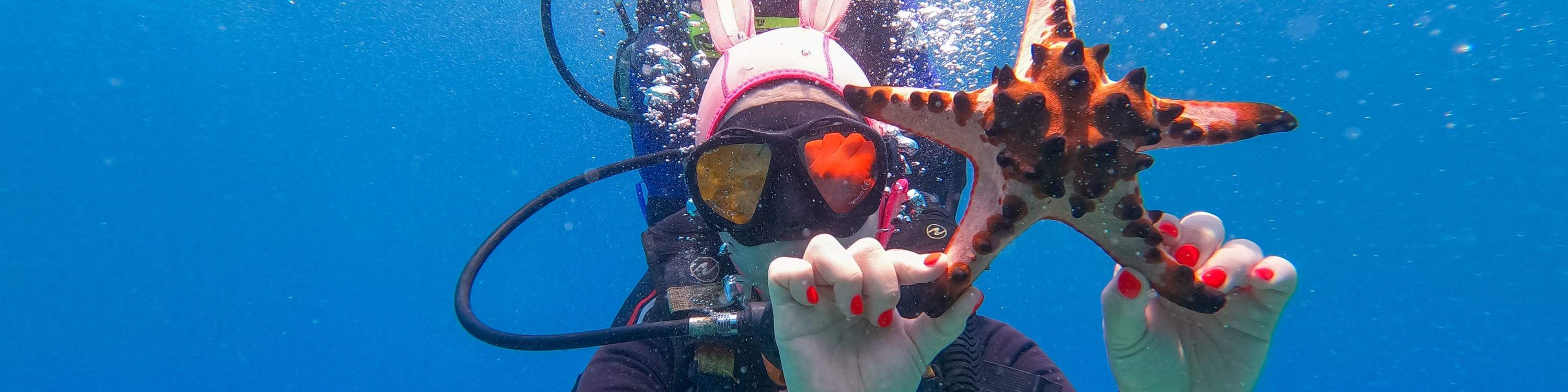 Pengalaman Menyelam SCUBA yang Tak Terlupakan di Cebu - Tidak Perlu ...