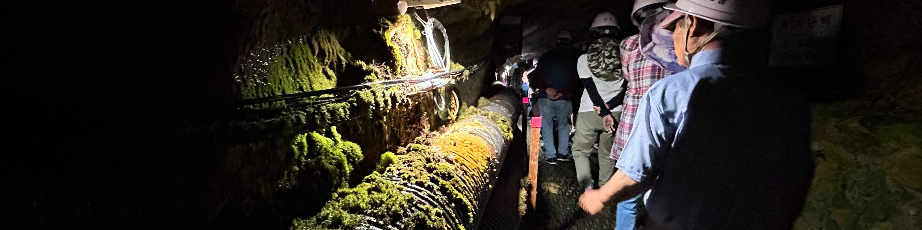 Uncover Korean War History at the New Cheorwon DMZ - Klook United States