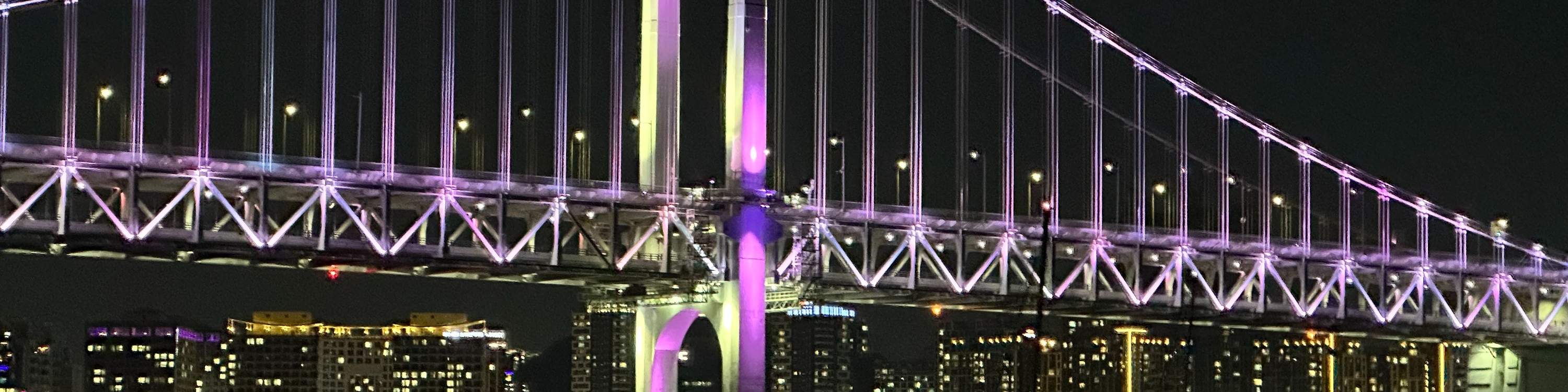 Busan Night Yacht Tour with Gwangalli Drone Light Show - Klook