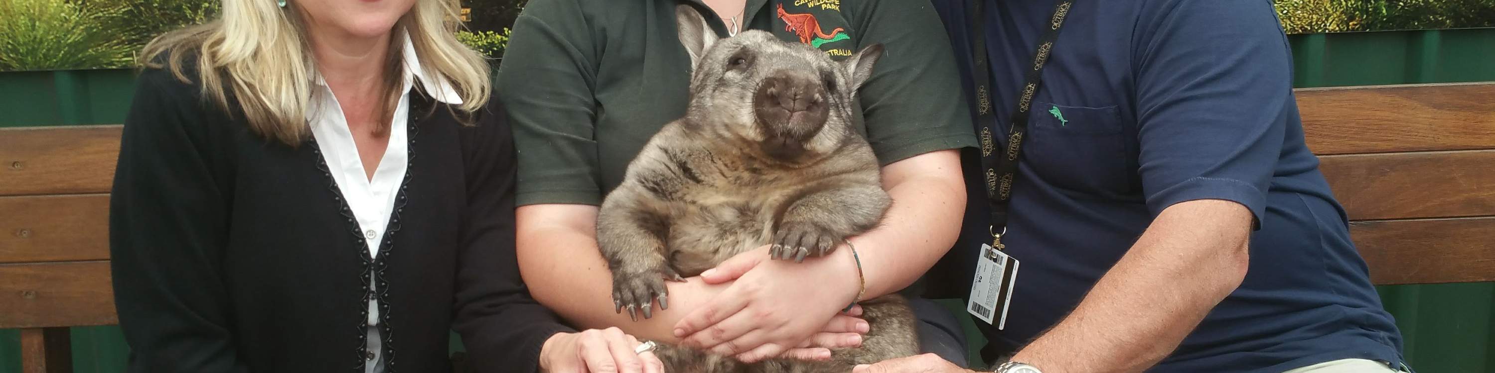 City Highlights and Wildlife Park Guided Day Tour from Perth - Klook