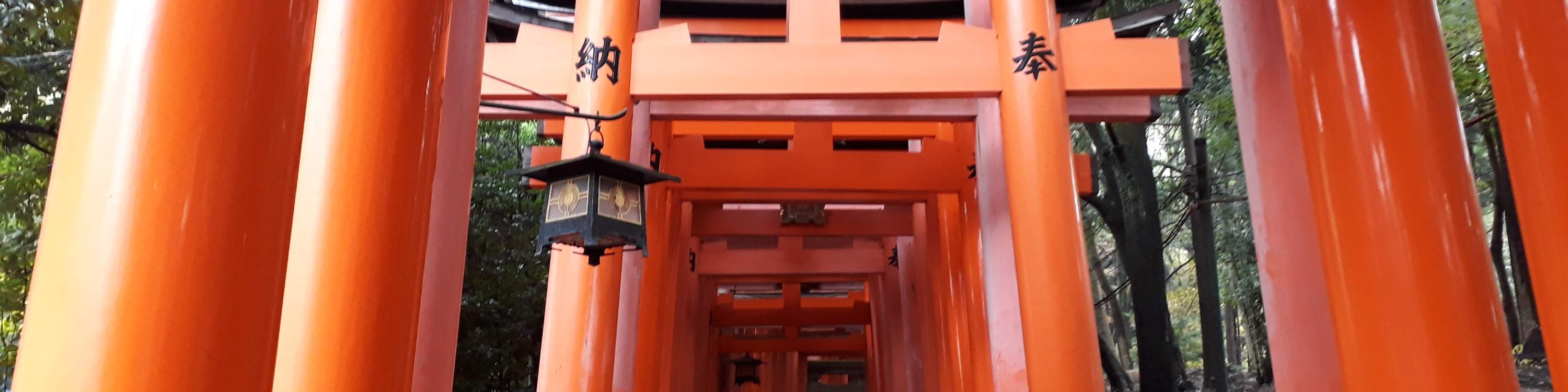 Kyoto Fushimi Inari Taisha Small Group Tour Walking Tour - Klook