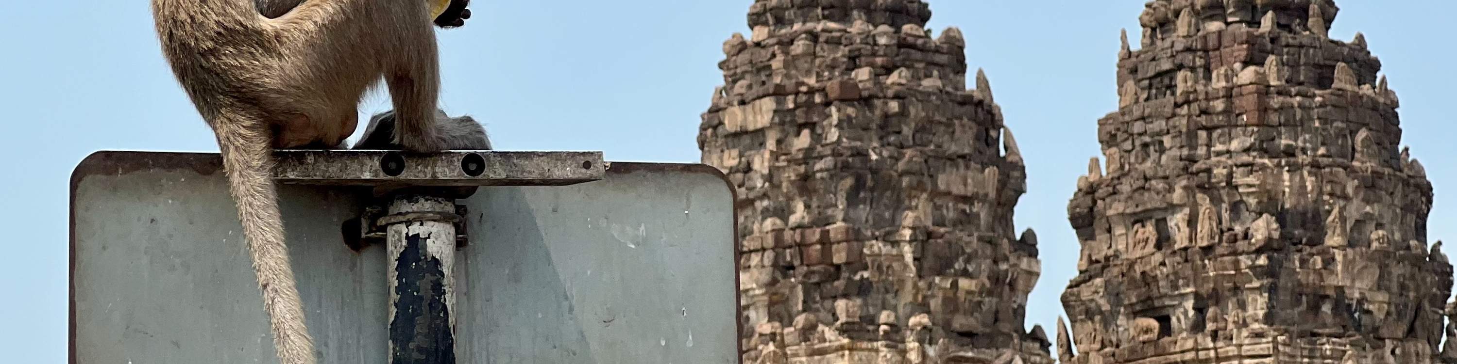 Group Lopburi Tour From Bangkok With Monkey & Cave Temple & Ig Cafe in ...