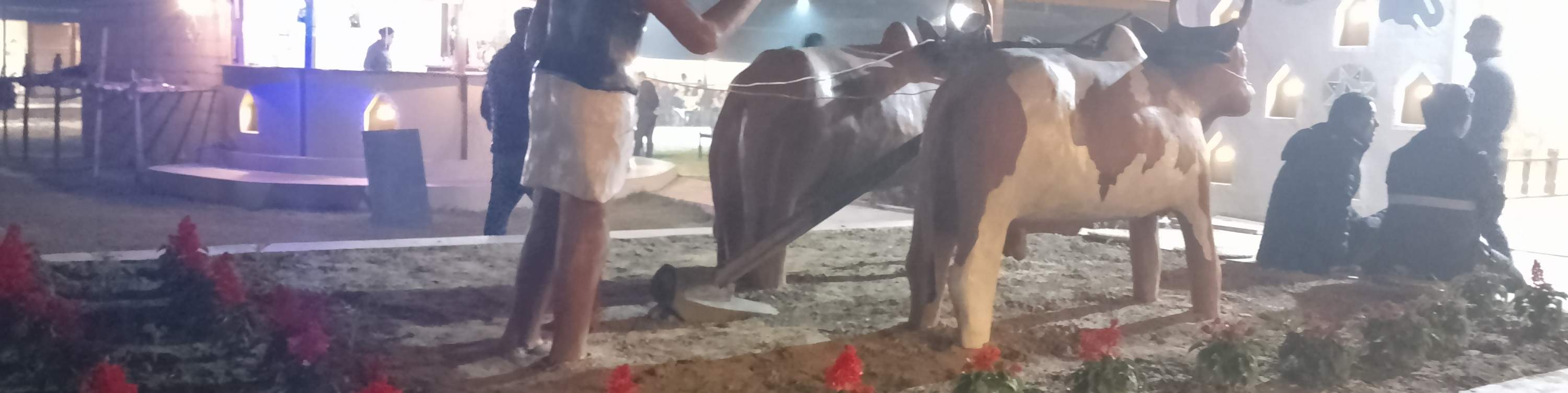 3 Days Exciting Jungle Safari Tour from Kathmandu/Pokhara - Klook