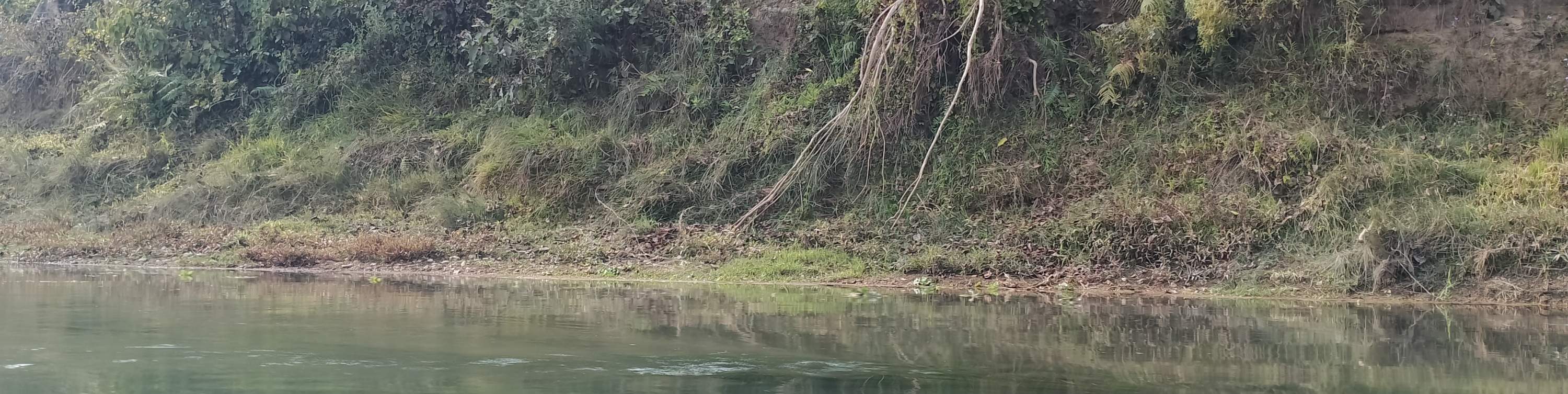 3 Days Exciting Jungle Safari Tour from Kathmandu/Pokhara - Klook India