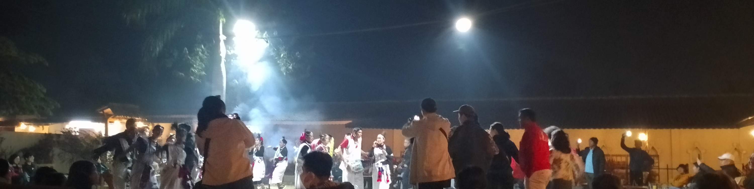 3 Days Exciting Jungle Safari Tour from Kathmandu/Pokhara - Klook Australia