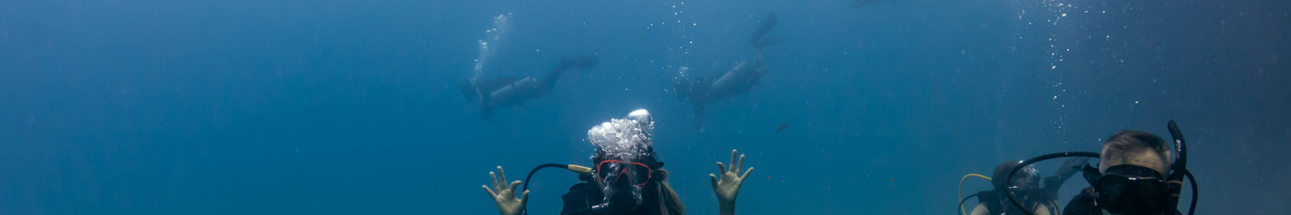 Try Scuba Diving in Koh Phangan with PADI 5 Star IDC Resort - Explore ...