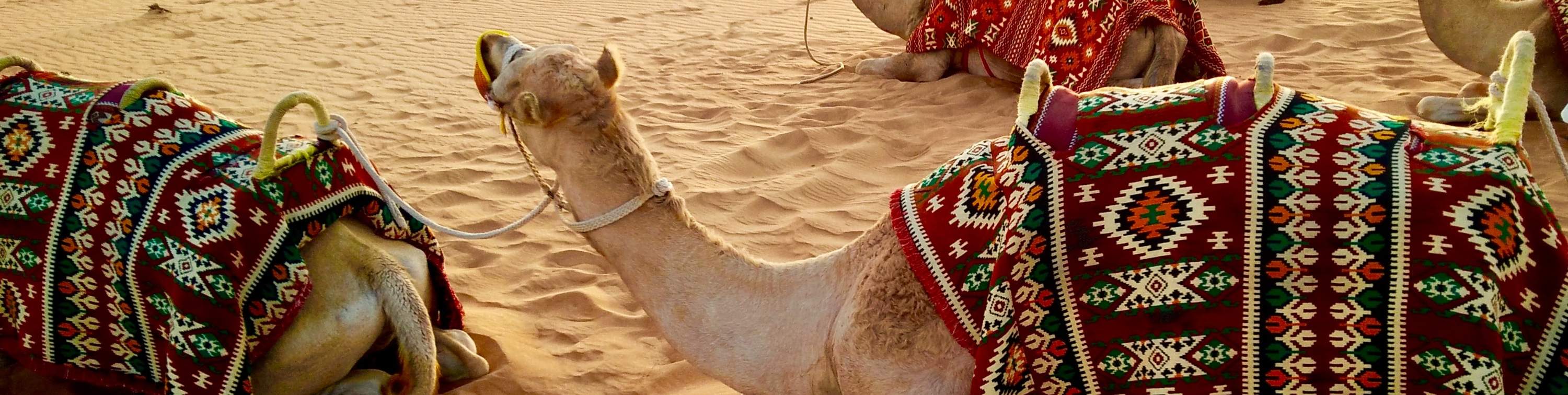 Doha: Kombo Sehari Penuh Private Doha City & Desert Safari Tour ...