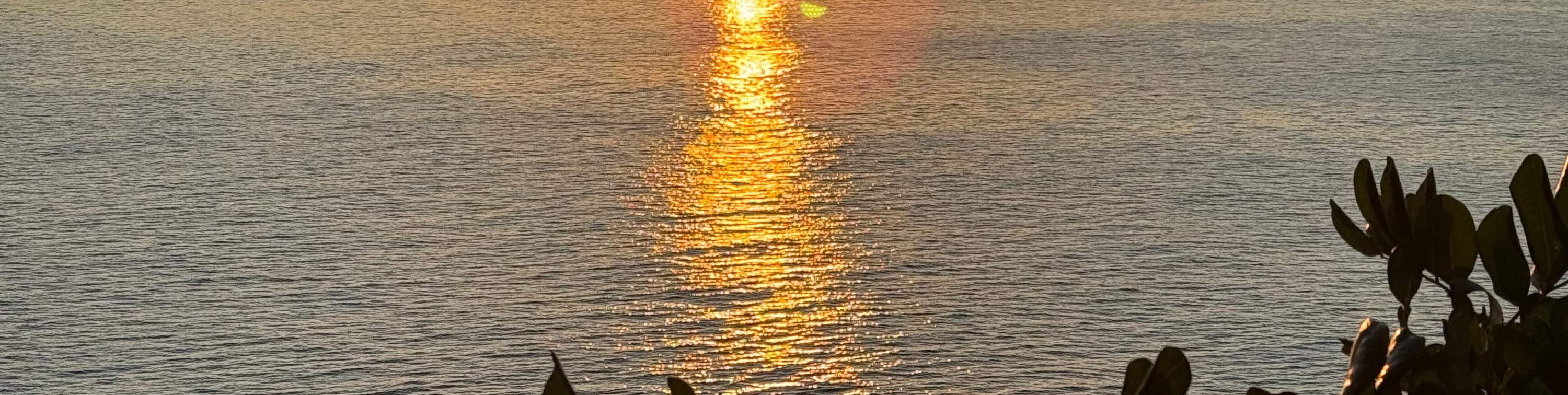 Byron Bay Day Tour: Lighthouse Sunset, The Farm and Hidden Trails ...