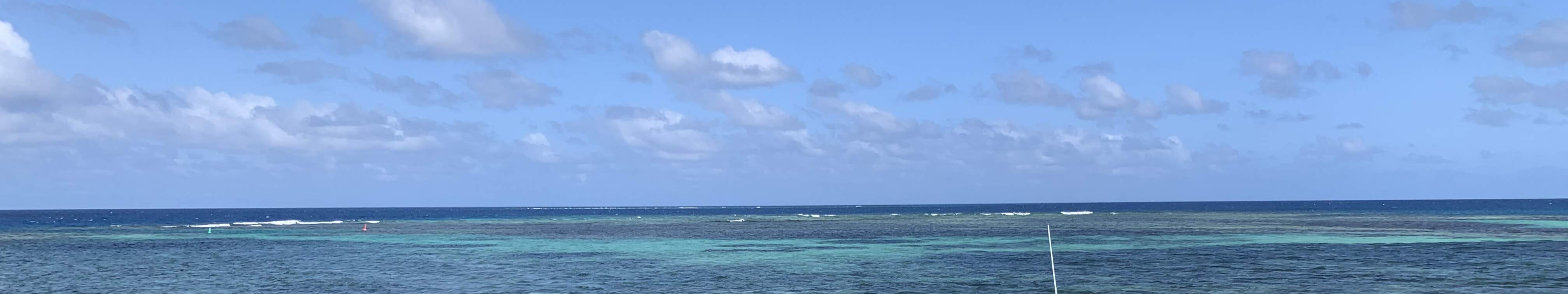 Experience the Thrill of Giant Clam Dive in Tokoriki Island with PADI 5 ...