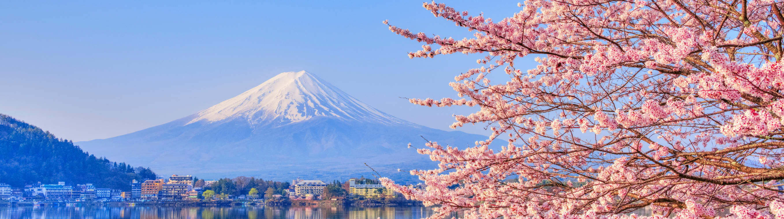 [Mt. Fuji & Hakone] Fujisan Yumeno Ohashi, Owakudani, Oshino Hakkai - Klook