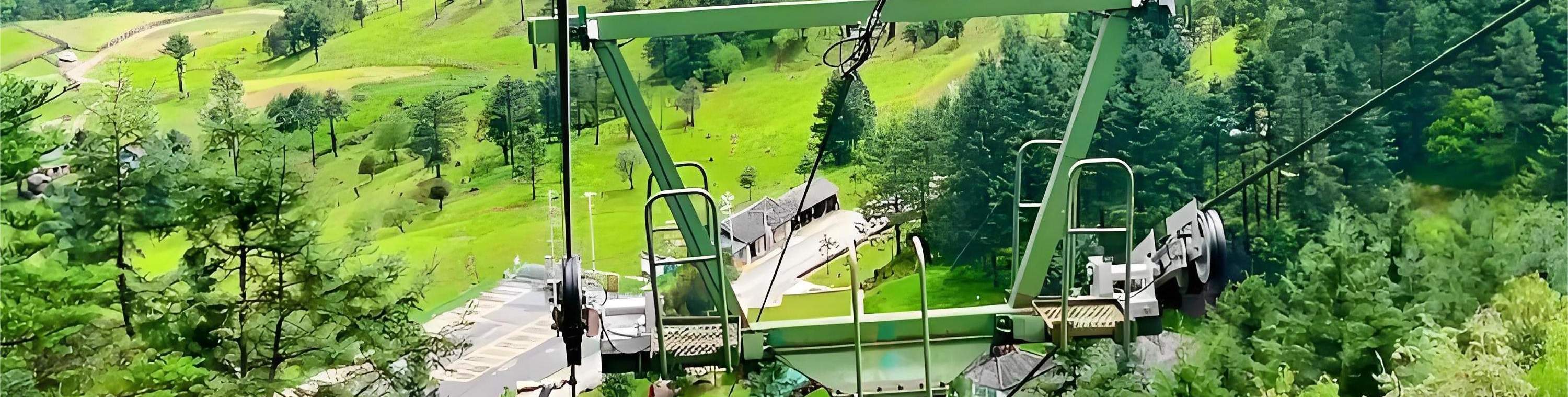 Lijiang Private Small Group 1 Day Tour Jade Dragon Snow Mountain ...