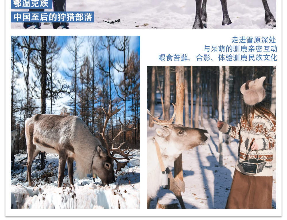 Northeast Harbin Mohe North Railway 4 days (Snow Country Train round ...