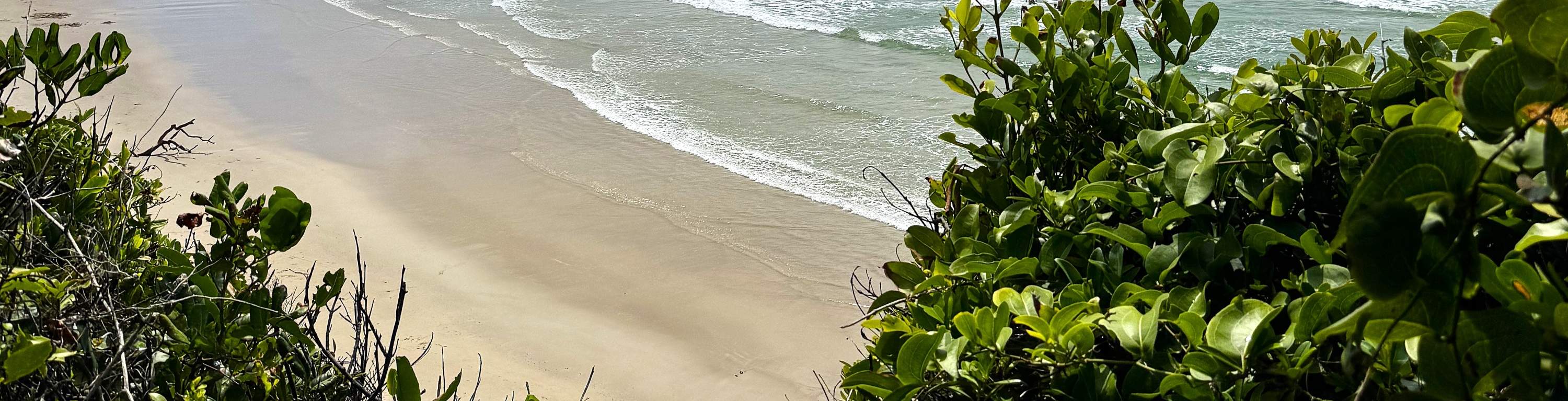 Byron Bay Day Tour: Lighthouse Sunset, The Farm and Hidden Trails ...