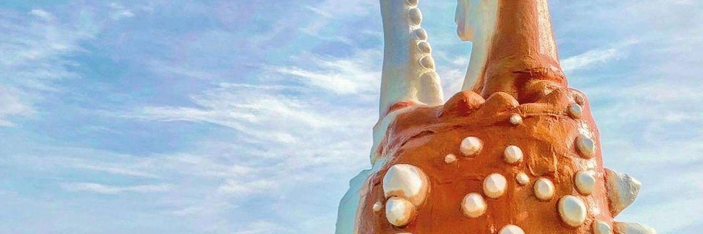 Monbetsu Icebreaker & Asahiyama Zoo & Sounkyo Ice Waterfall Festival 2 ...