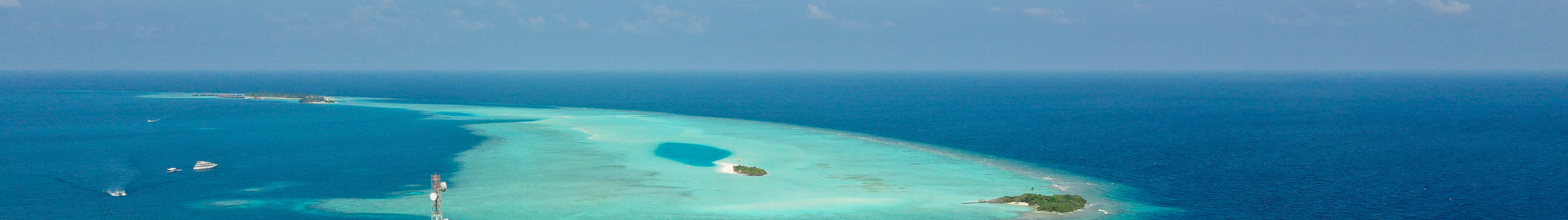 Dive into Bliss: Two Fun Dives in North Ari Atoll with PADI 5 Star Dive ...