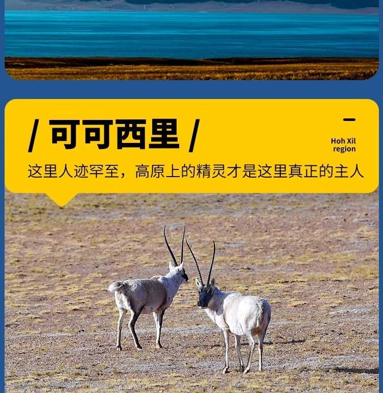 Qinghai-Gansu Panorama of Northwest China in 9 days (Qinghai-Gansu ...