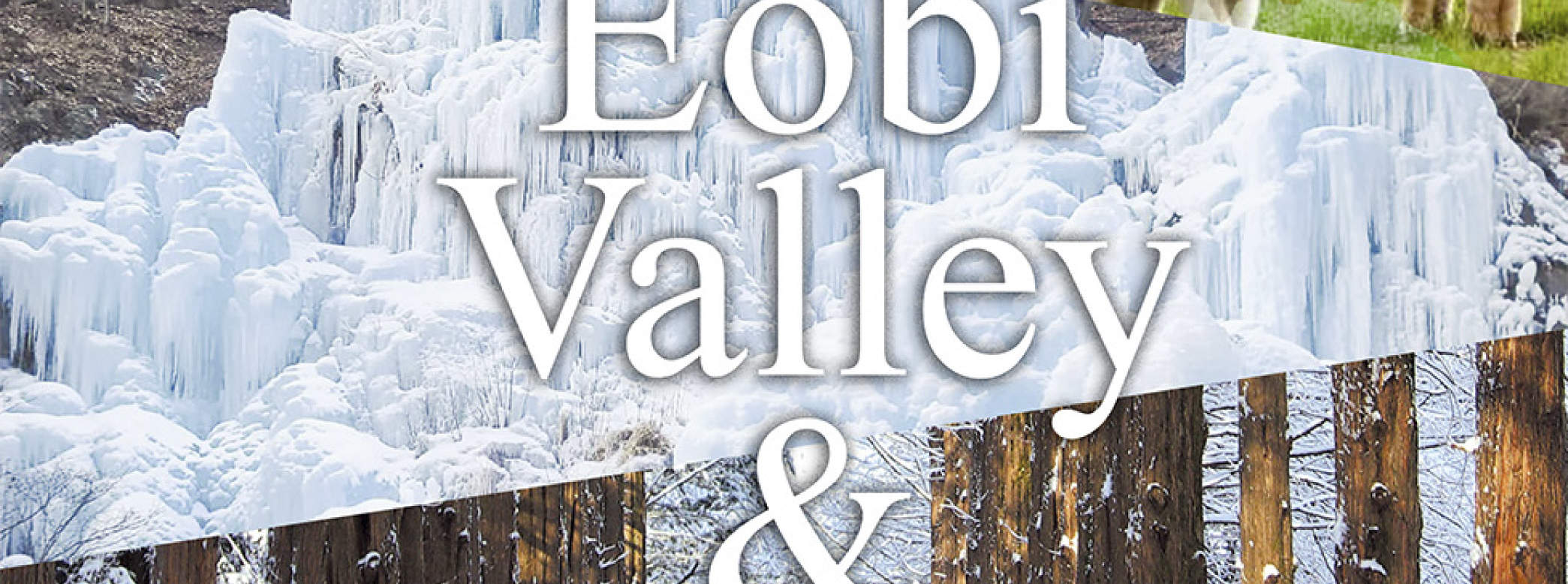 Eobi Ice Valley & Nami & Morning Calm & Railbike & Petite France ...