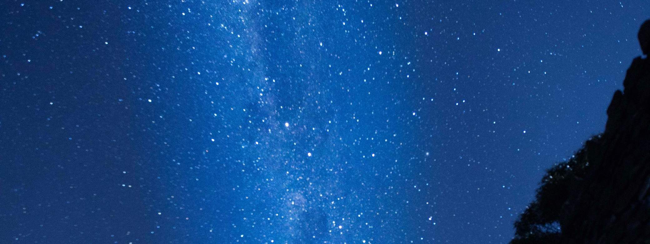 Starry Night Blue Mountains and Sydney Zoo Day Tour - Klook