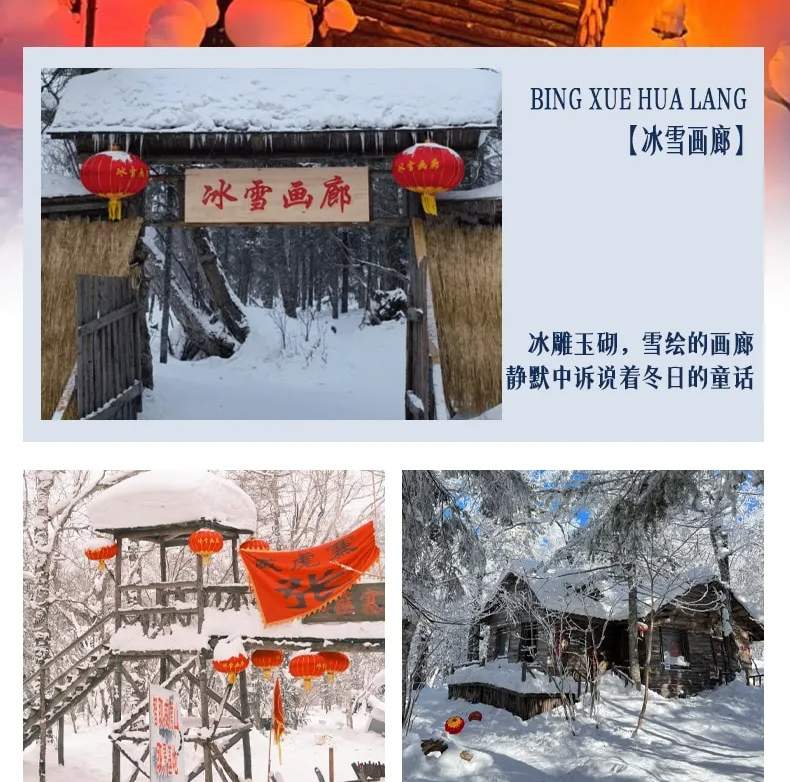 Northeast Harbin Snow Country 3-Day Tour (Fairy Tale Bear Ridge + Ice ...