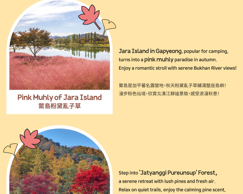 Beautiful Countryside 4 Seasons Day Tour from Seoul - Klook