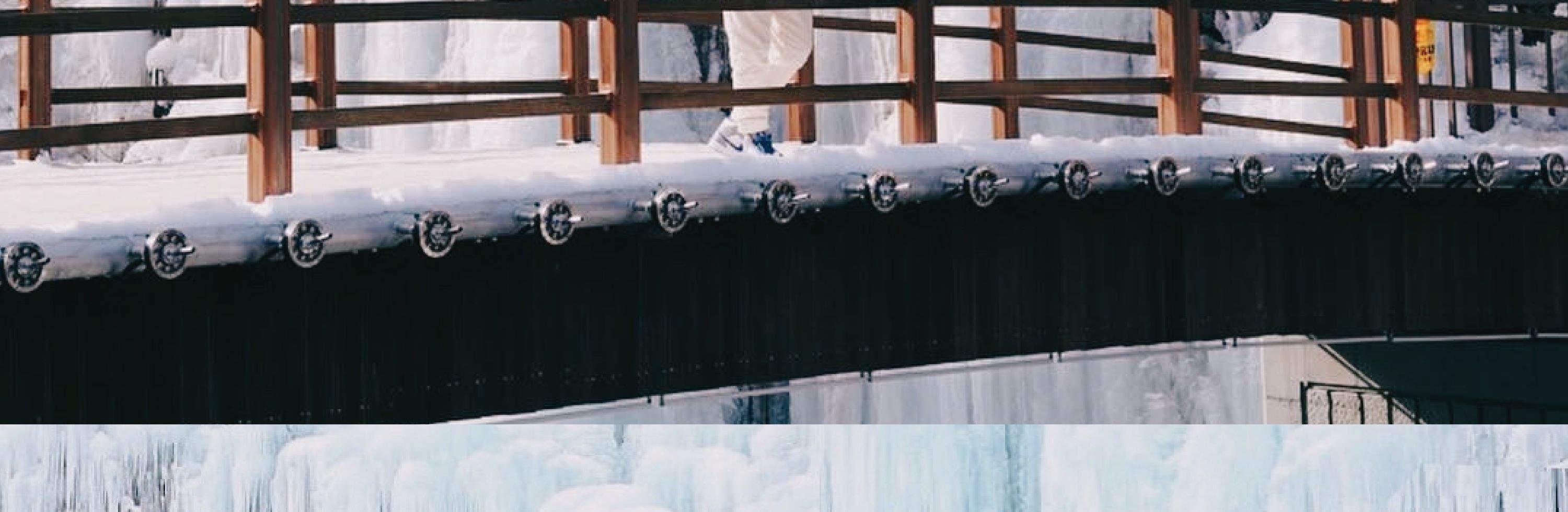 Nami Island & Eobi Ice Valley & Panorama Field & Morning Calm Tour - Klook