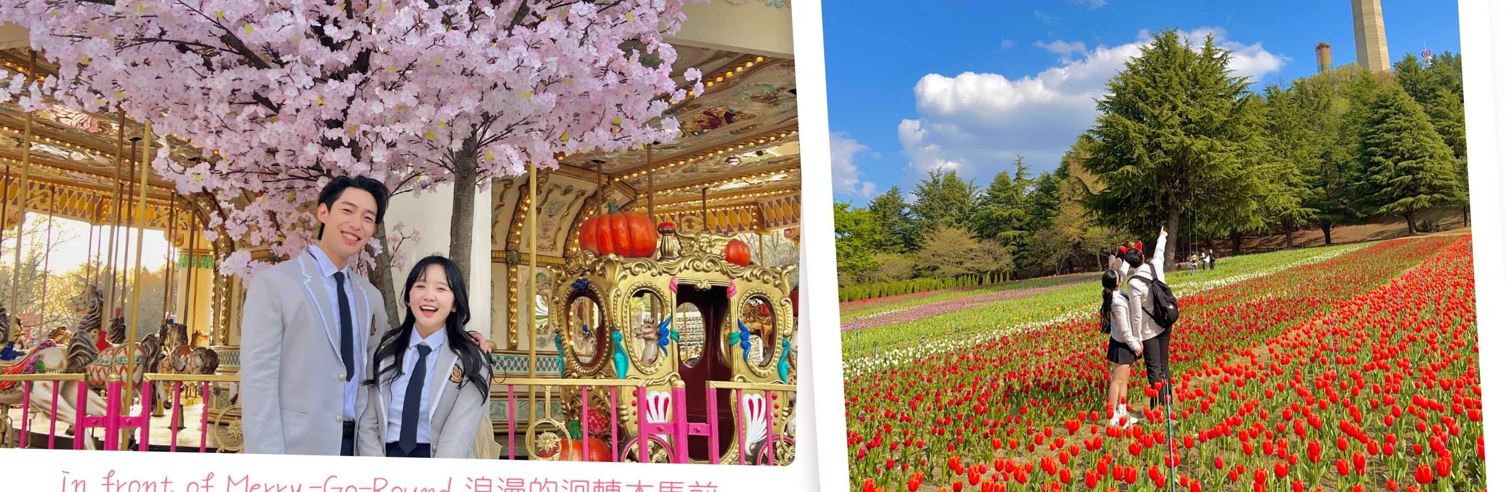 Daegu E-World Day Tour with Admission & Transportation from Busan ...